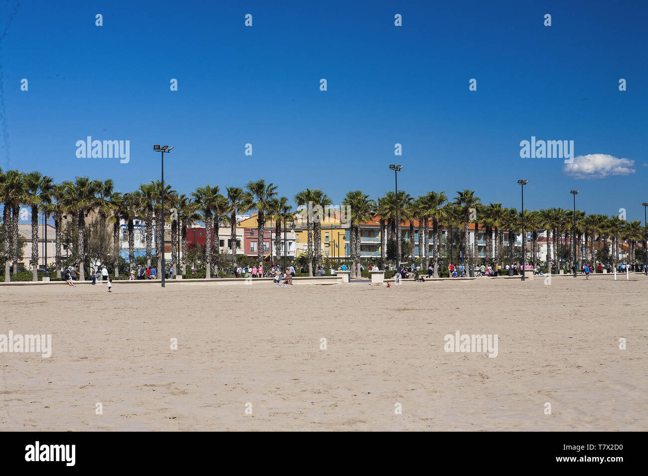 Valencia promenade hi-res stock photography and images - Alamy