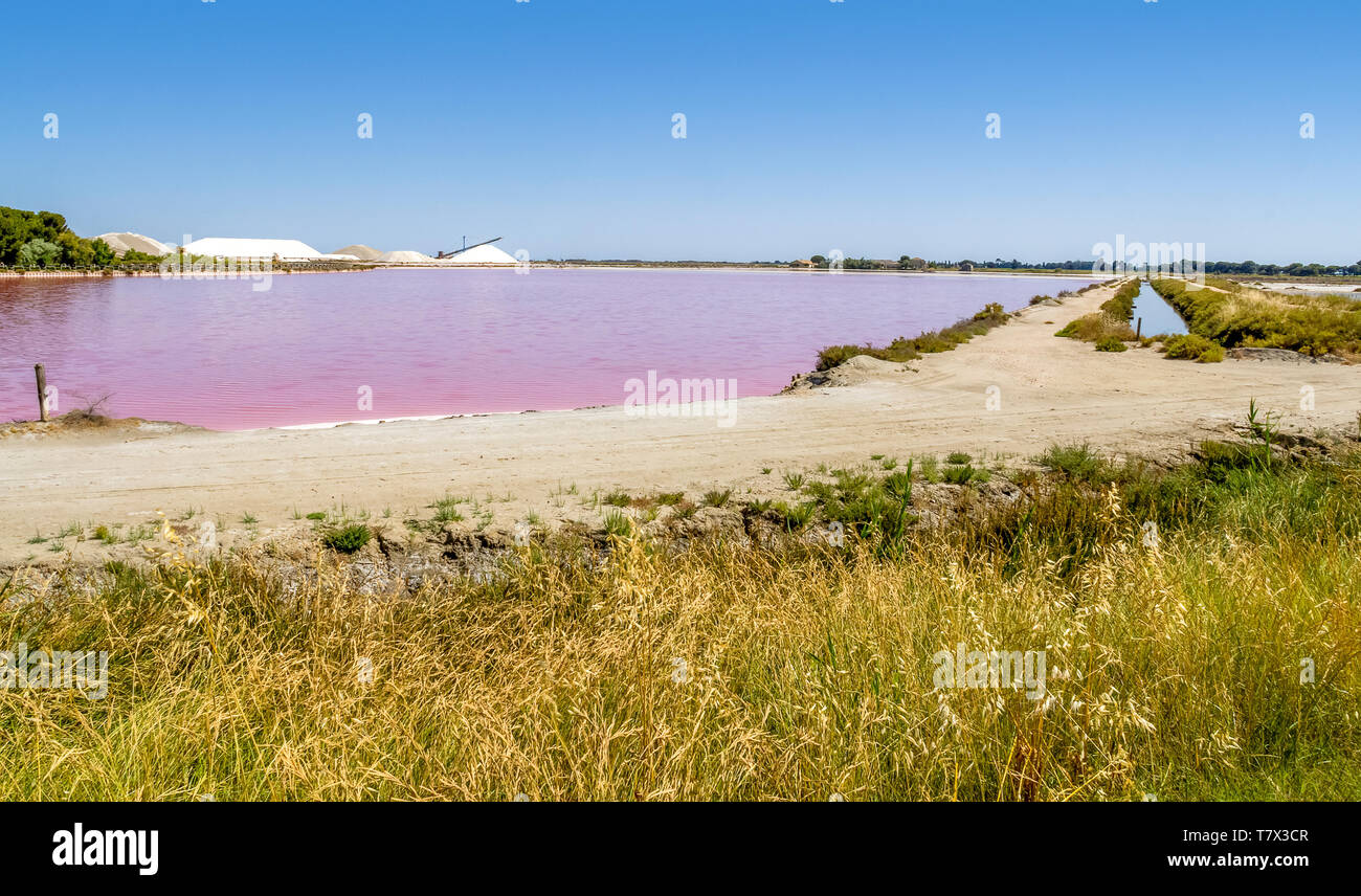 Camargue france pond hi-res stock photography and images - Alamy