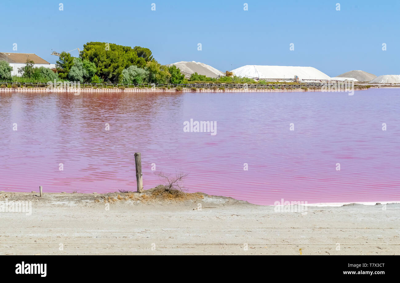 saltworks scenery in the Camargue area in southern France with pink ...