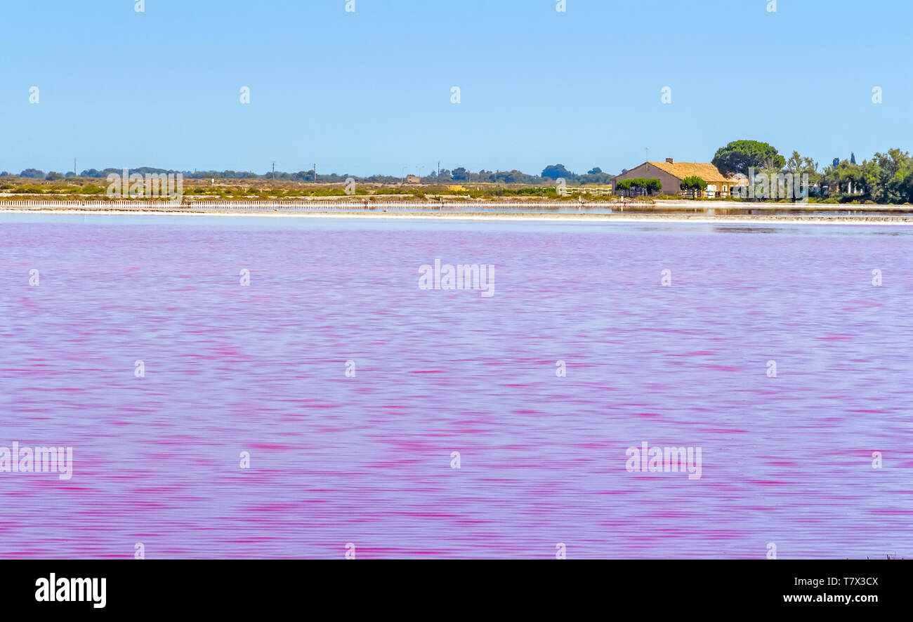 Saline in the Camargue area in southern France wich is showing pink ...