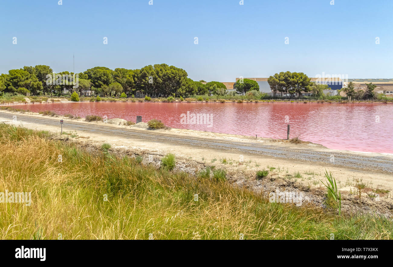Violet saline in camargue hi-res stock photography and images - Alamy