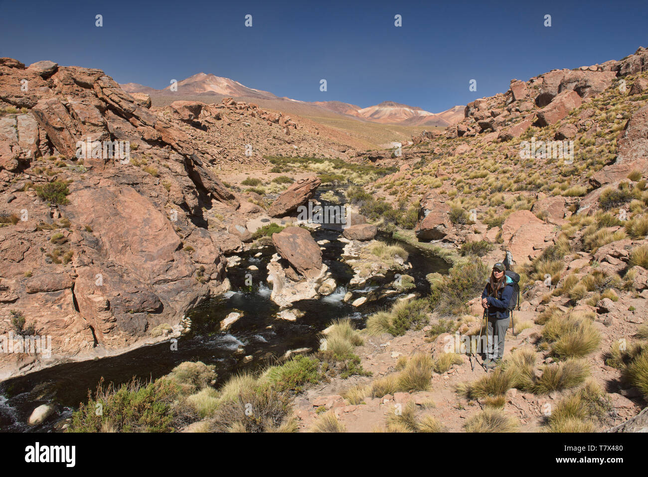 Hiking along the Rio Blanco thermal river near El Tatio Geyser, San ...