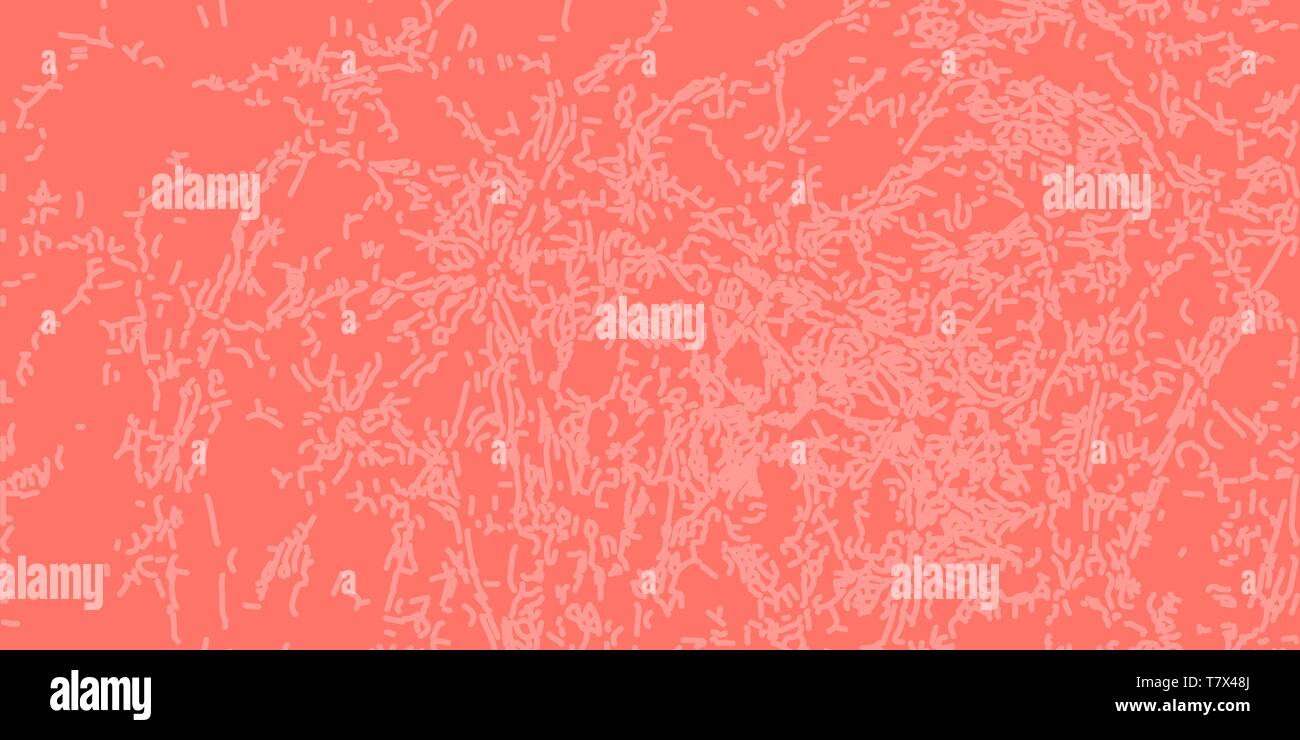 Abstract pink banner. Vector illustration. Trendy pink color background ...