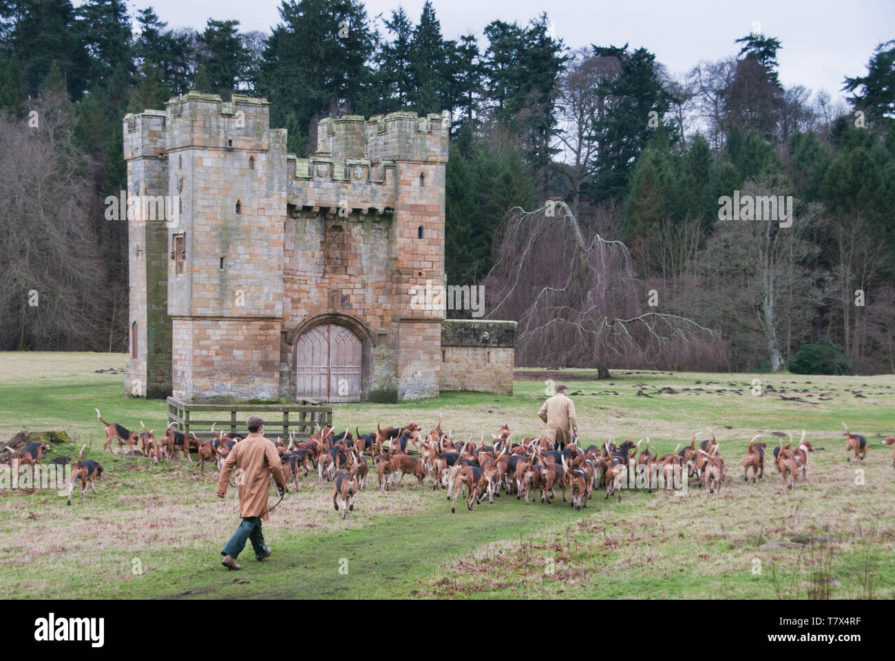 Percy hunt hi-res stock photography and images - Alamy