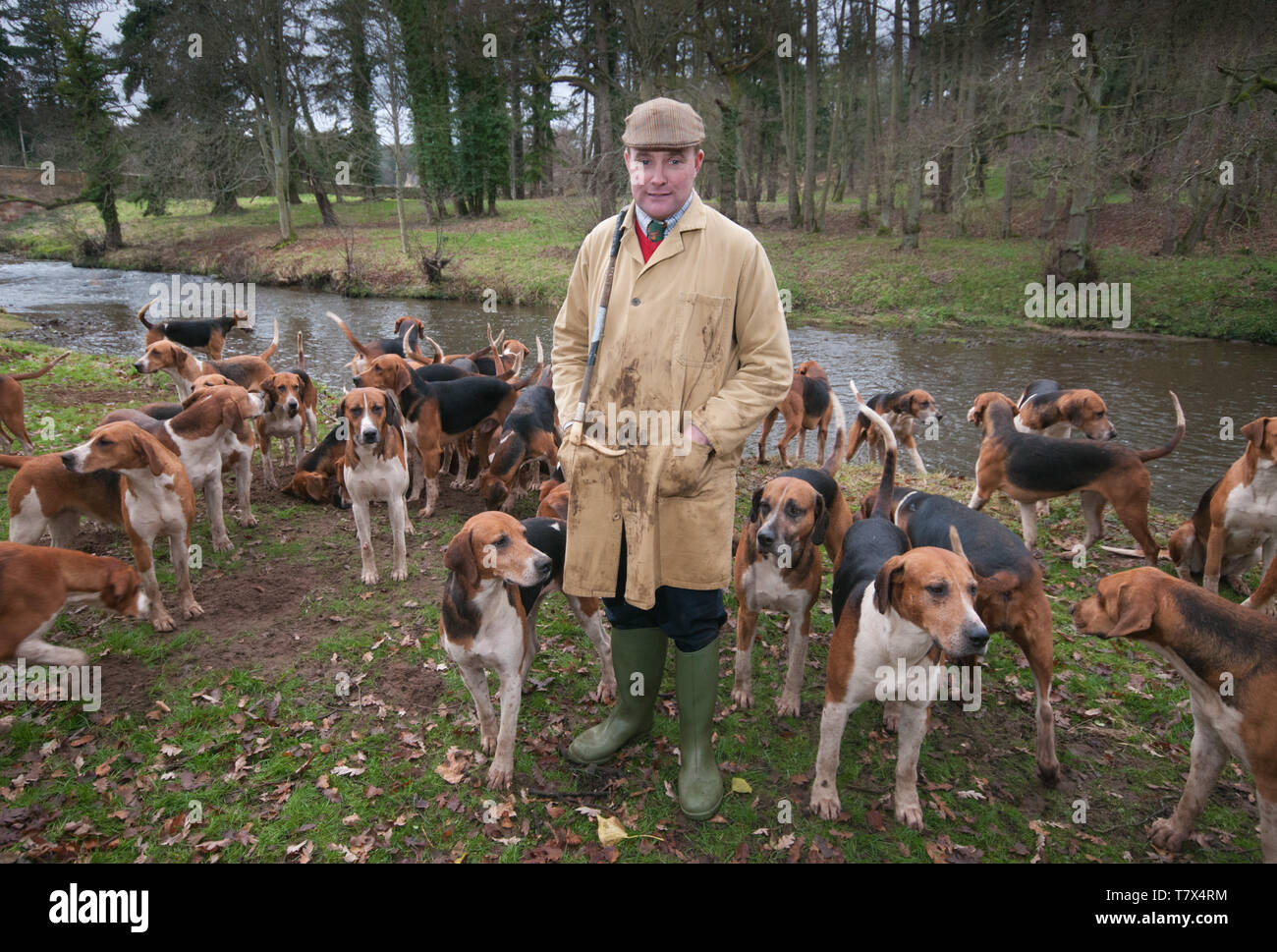 The Huntsman of the Duke of Northumberland's, Percy Hunt whilst ...