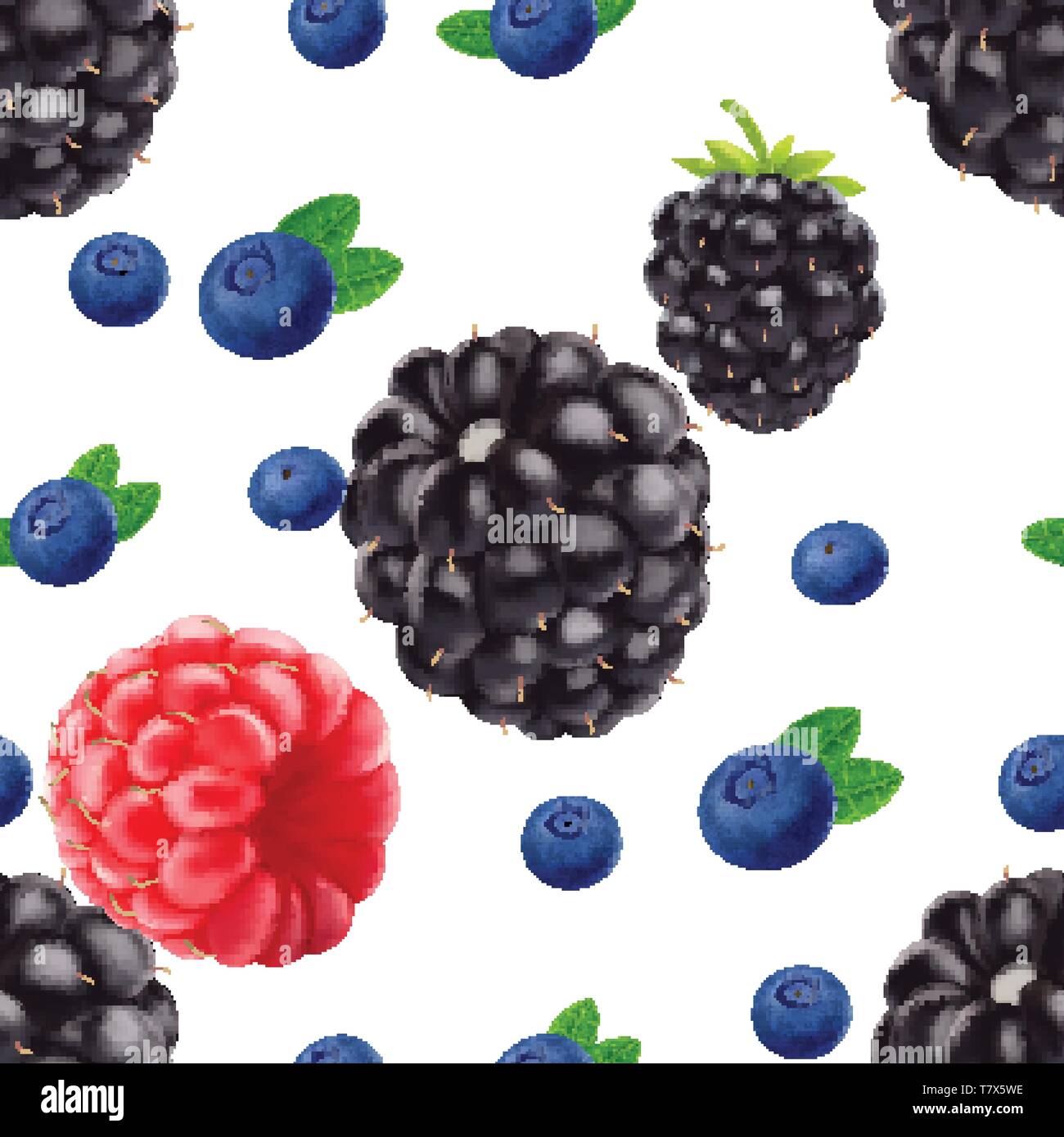 Blackberry fruit pattern background Stock Vector Images - Alamy