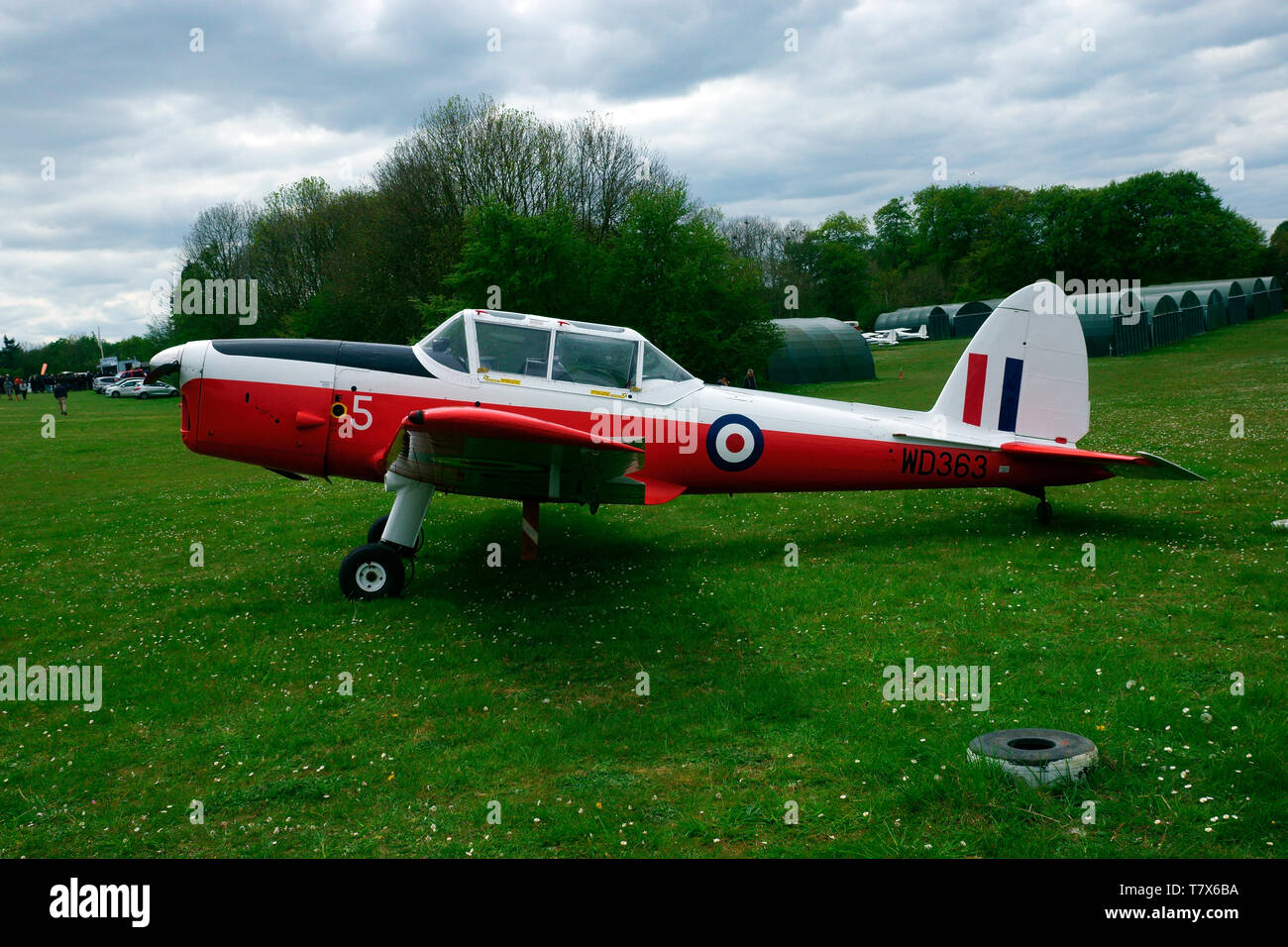Dh chipmunk hi-res stock photography and images - Alamy