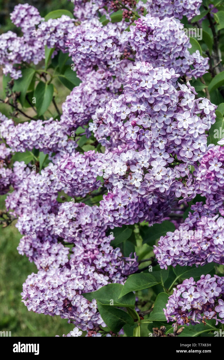 Sarah sands hi-res stock photography and images - Alamy