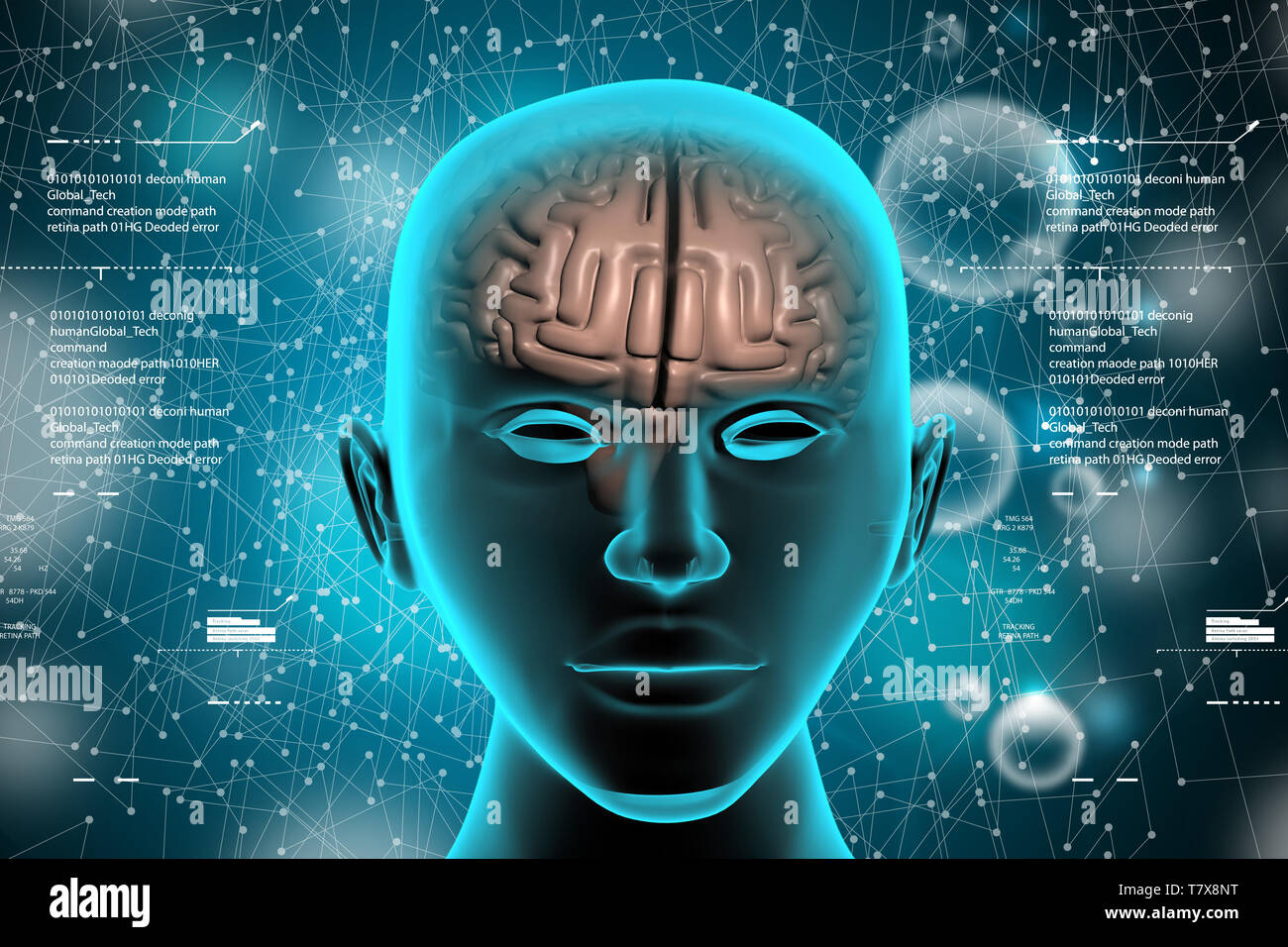representation of human brain Stock Photo - Alamy