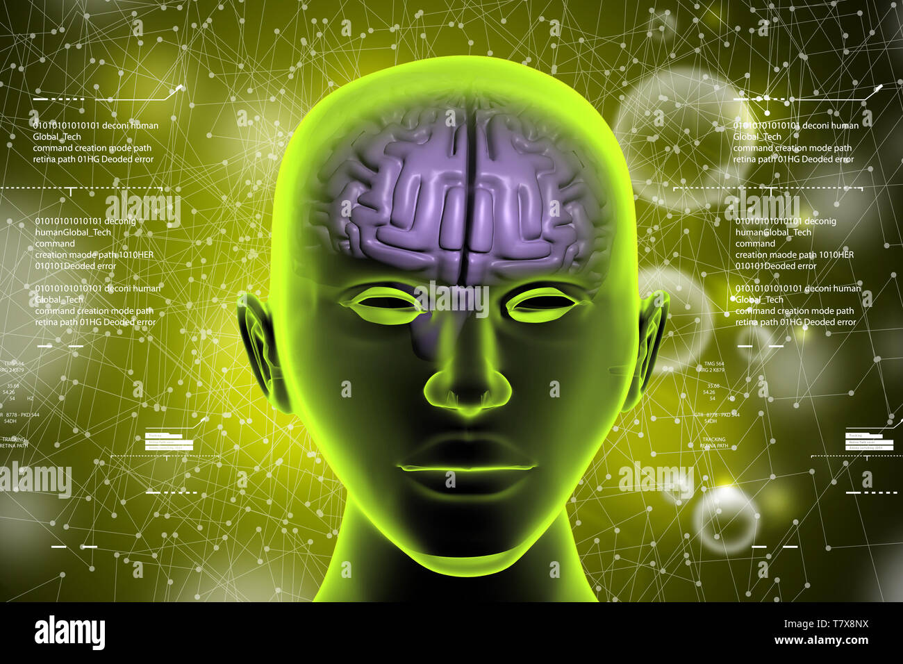 representation of human brain Stock Photo - Alamy