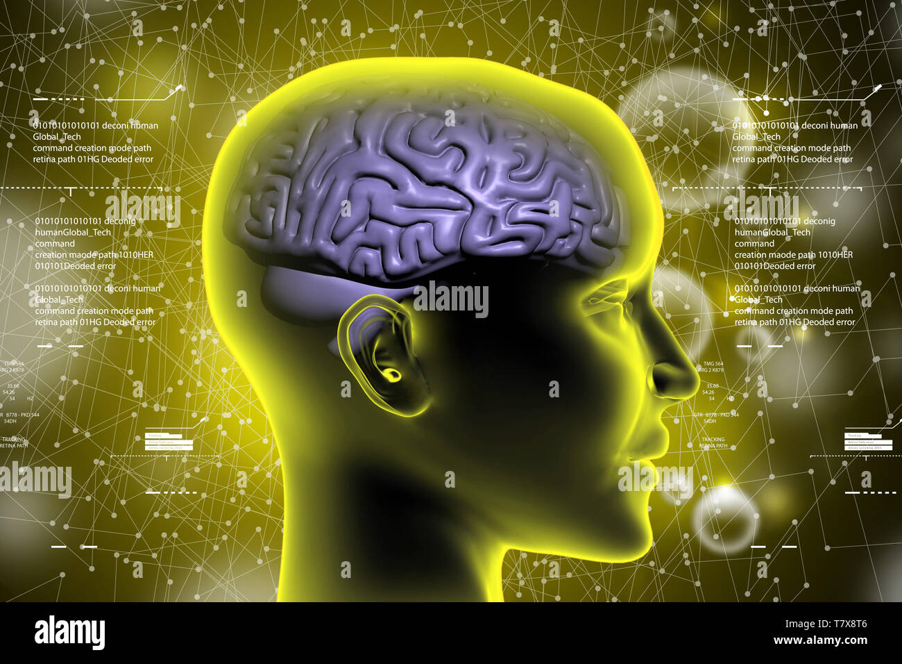 representation of human brain Stock Photo - Alamy