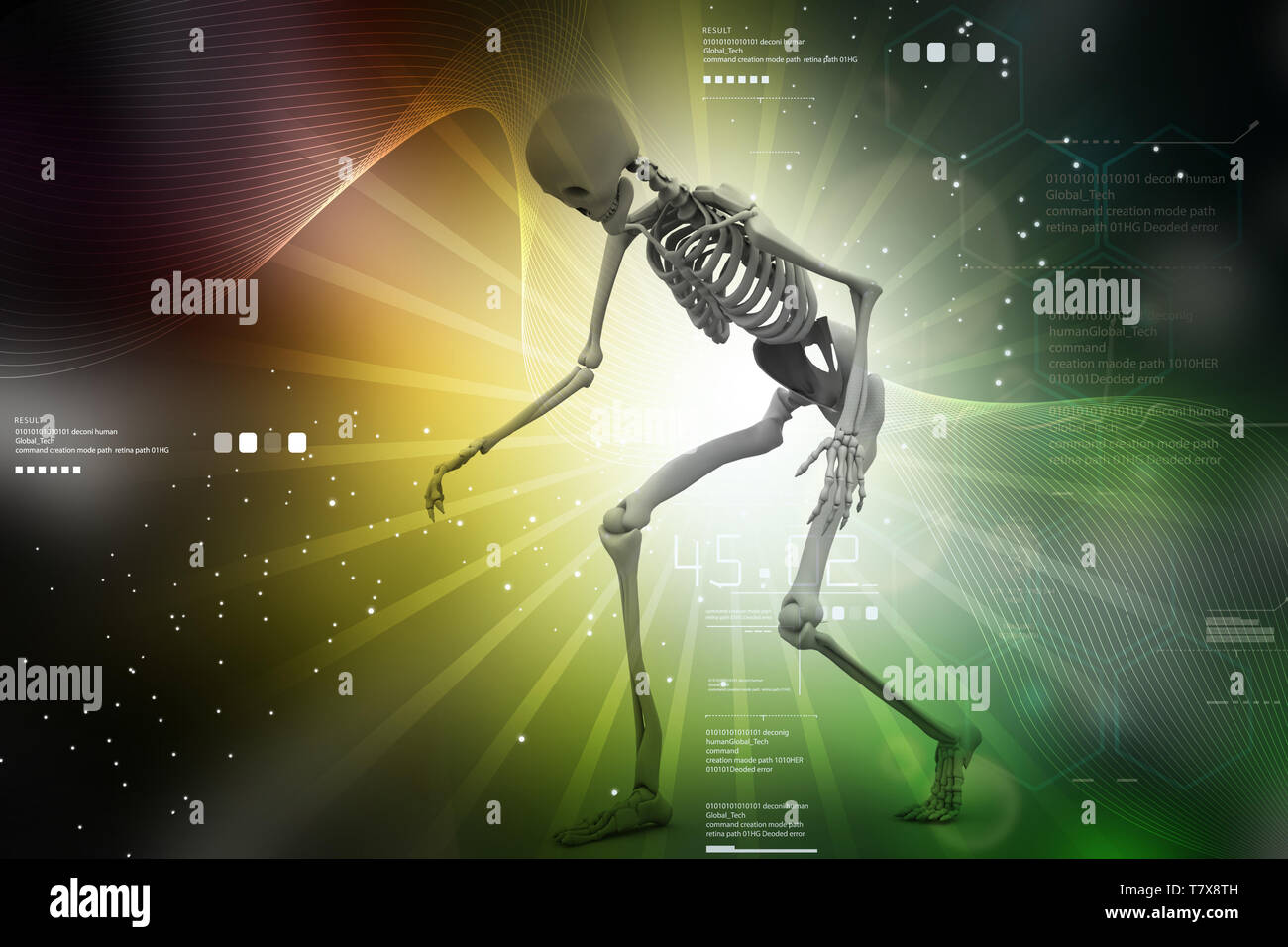 Human spine 3d mesh hi-res stock photography and images - Alamy