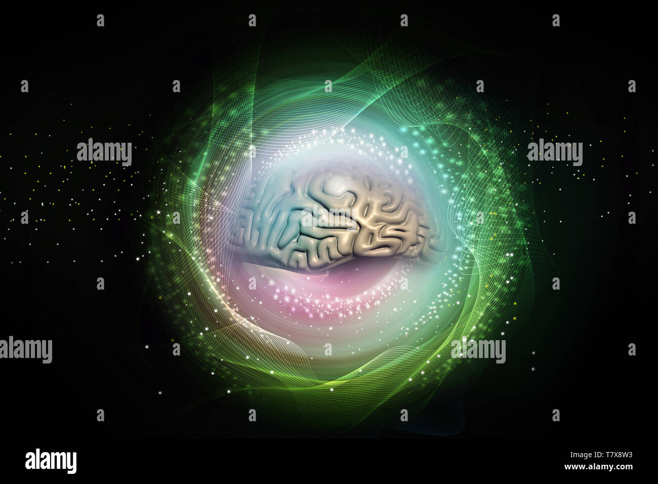 presentation of human brain Stock Photo - Alamy