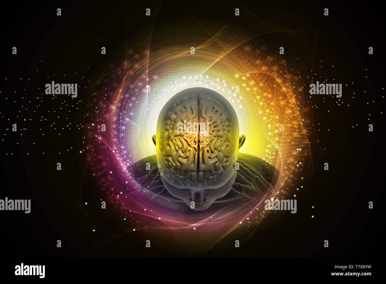 representation of human brain Stock Photo - Alamy