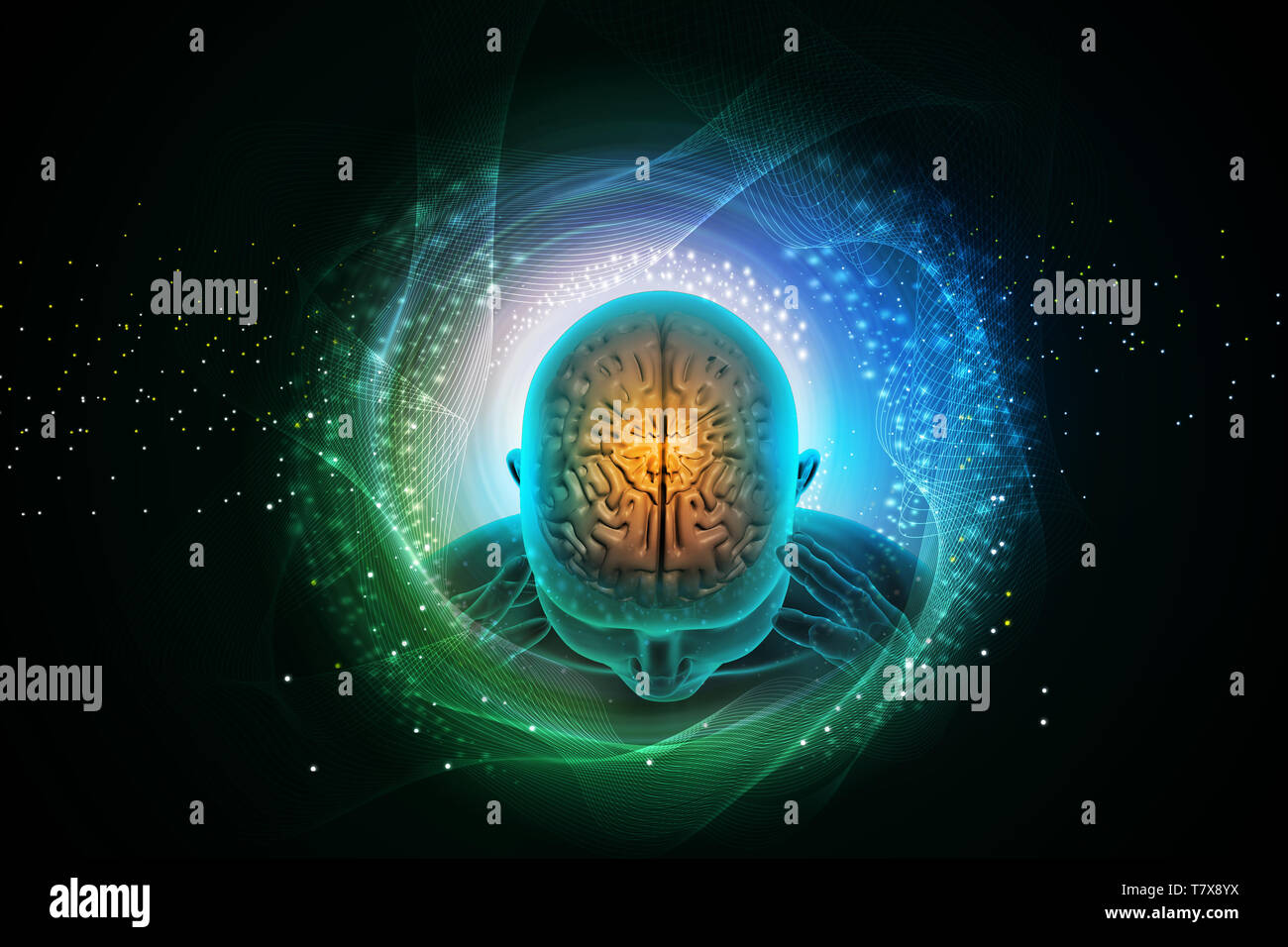 representation of human brain Stock Photo - Alamy