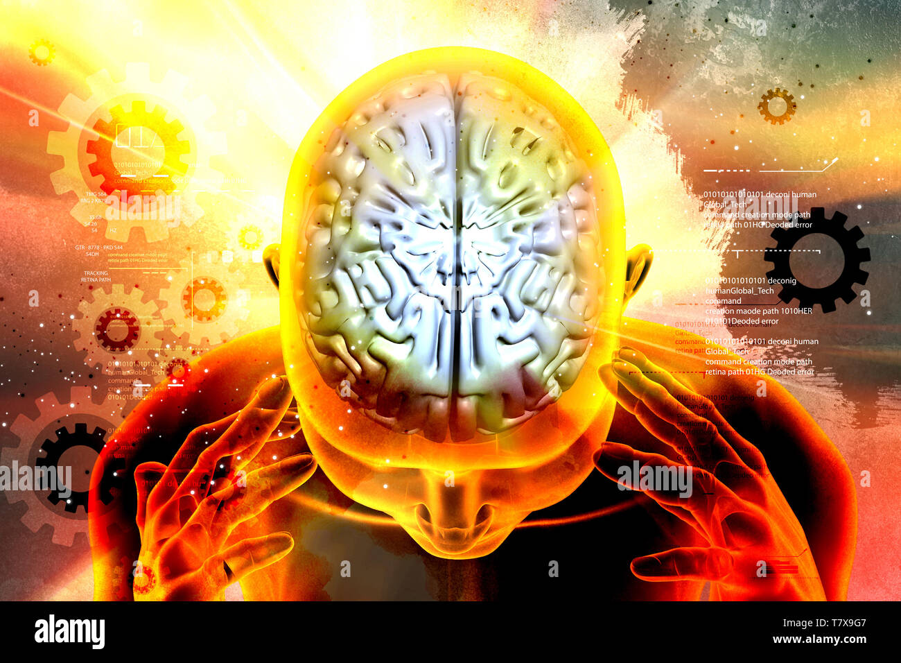 representation of female brain Stock Photo - Alamy