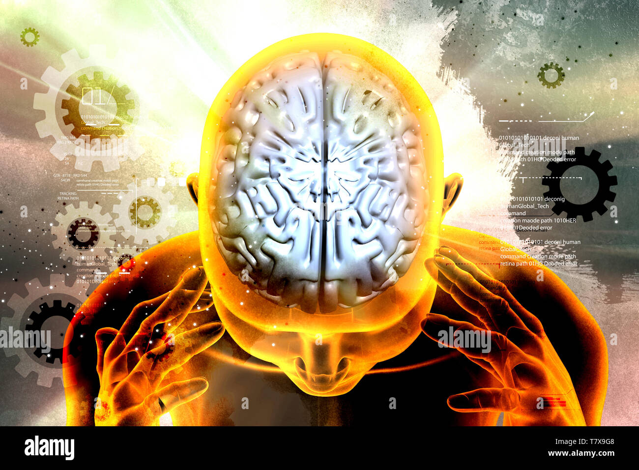 representation of female brain Stock Photo - Alamy