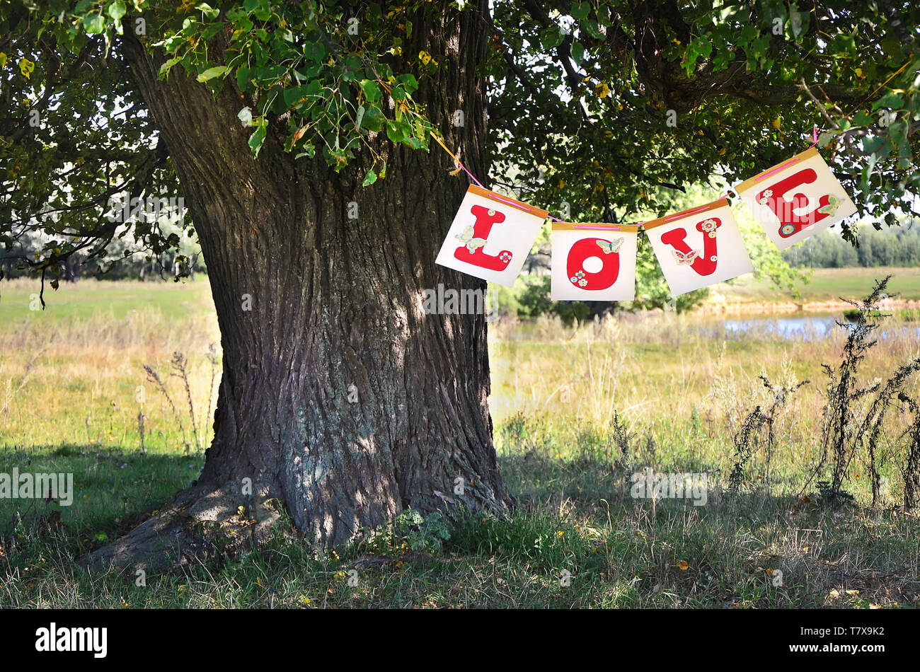 The word Love from red letters beautiful hanging on a large tree in the ...