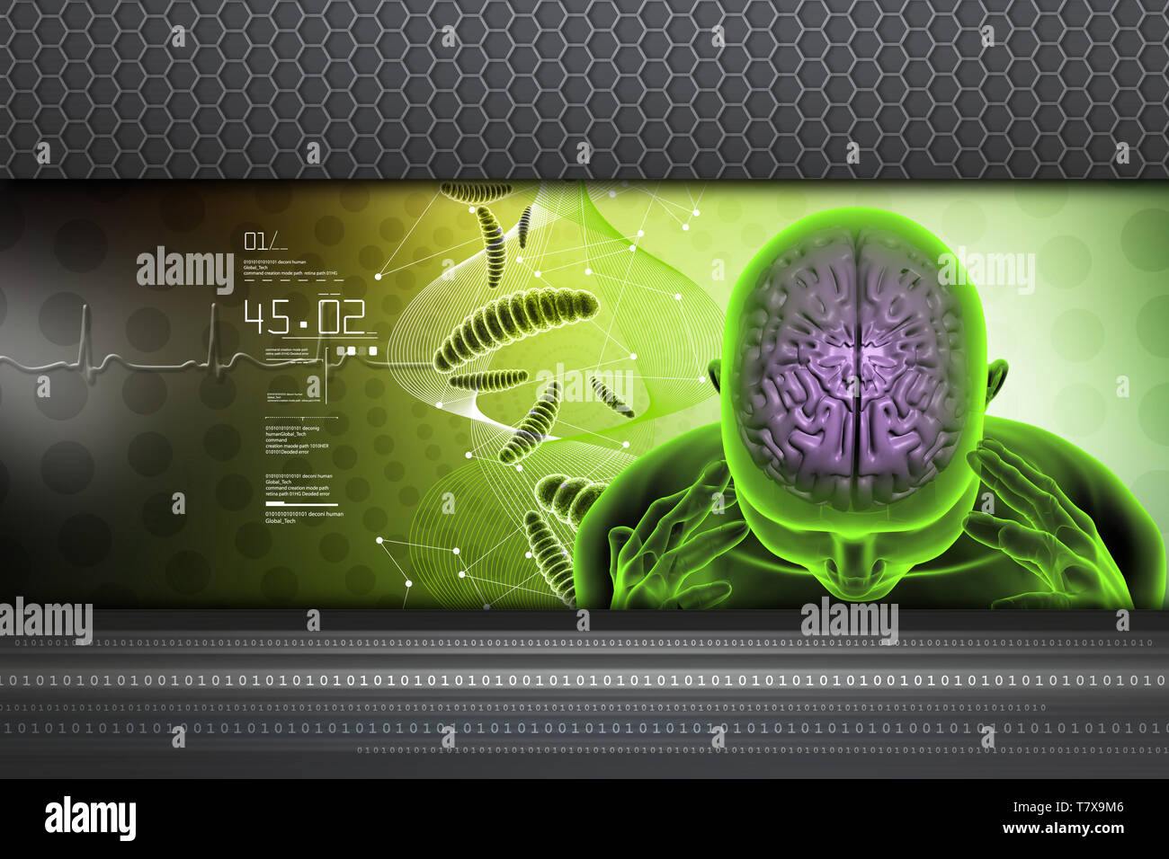 presentation of human brain Stock Photo - Alamy