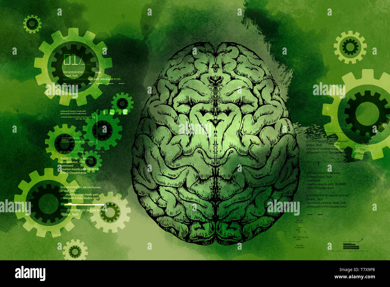 presentation of human brain Stock Photo - Alamy