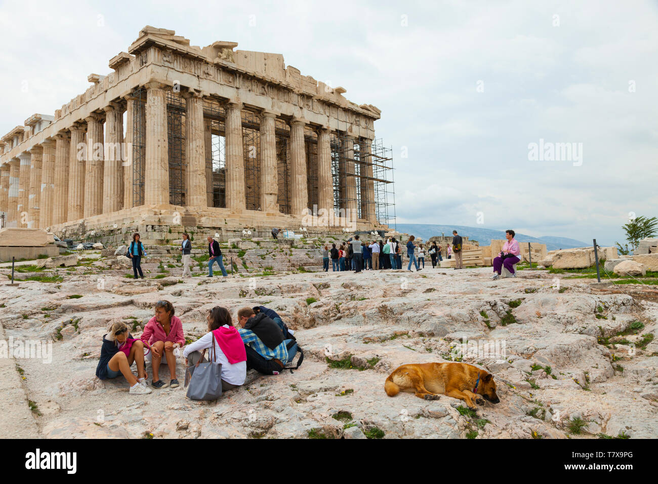 Partenon atenas hi-res stock photography and images - Alamy