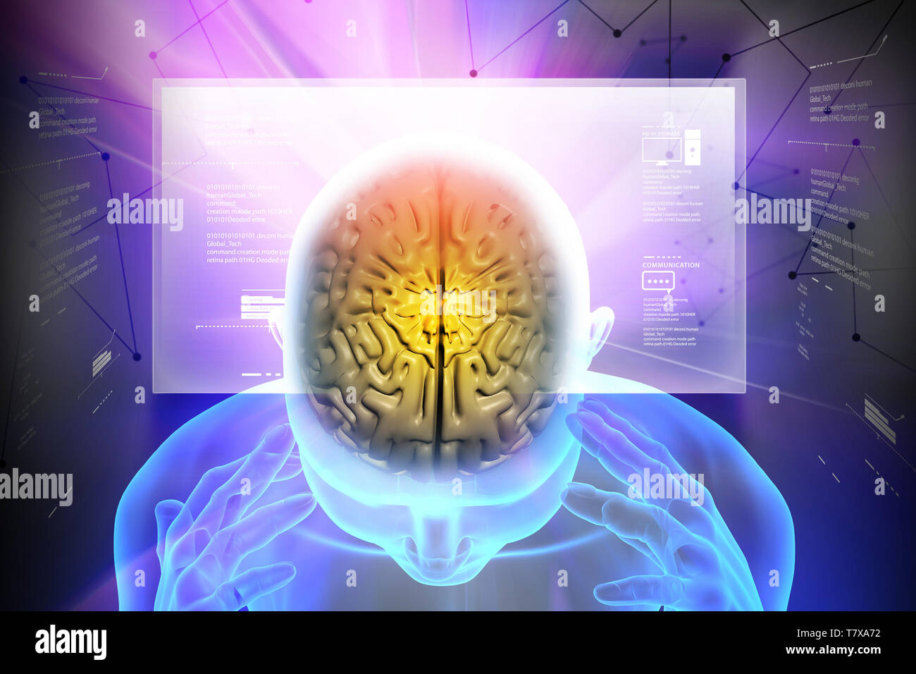 representation of female brain Stock Photo - Alamy