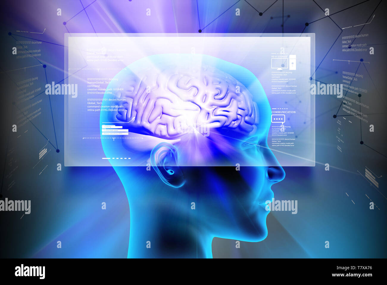 representation of female brain Stock Photo - Alamy