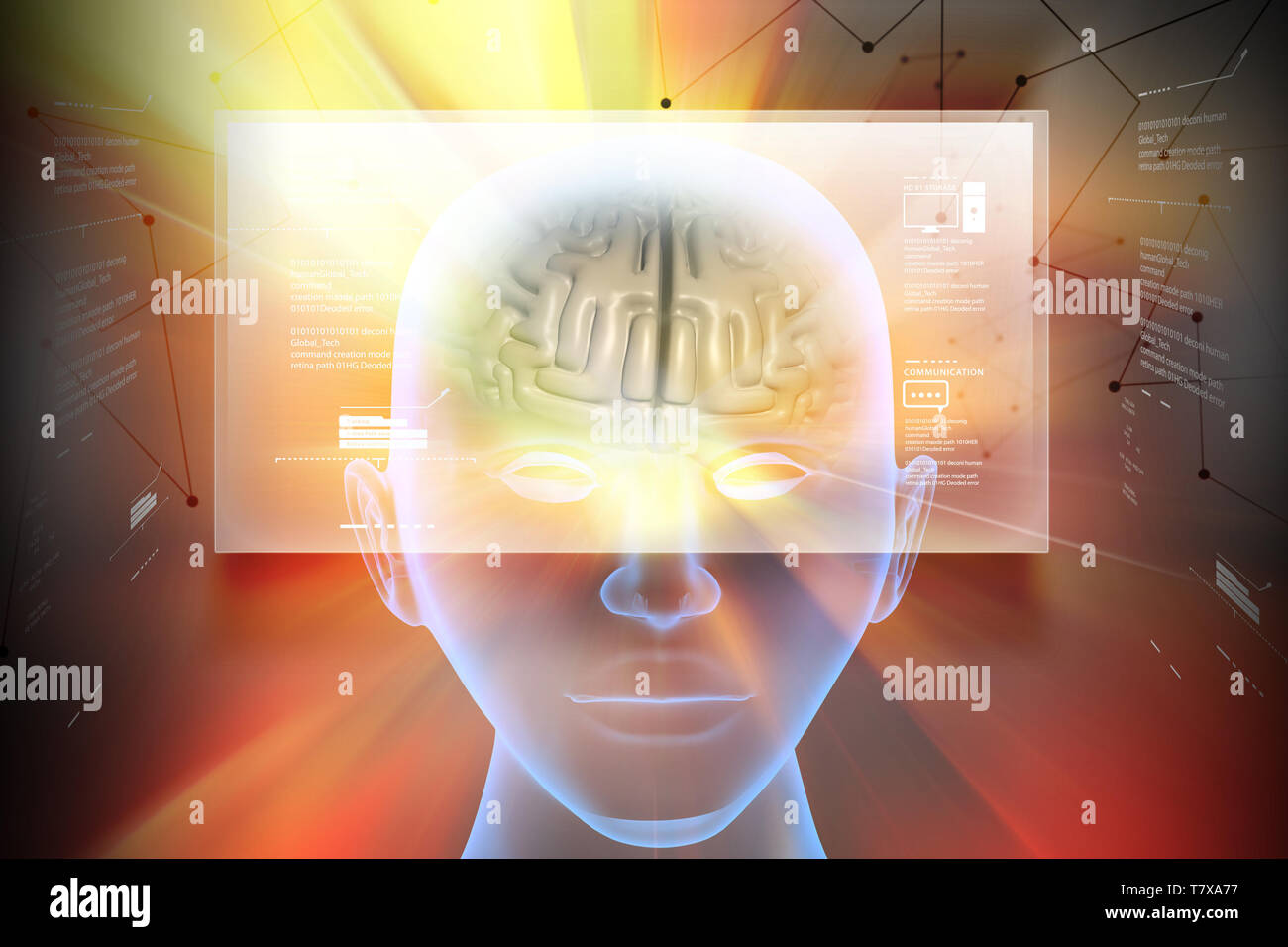 Female brain hi-res stock photography and images - Alamy