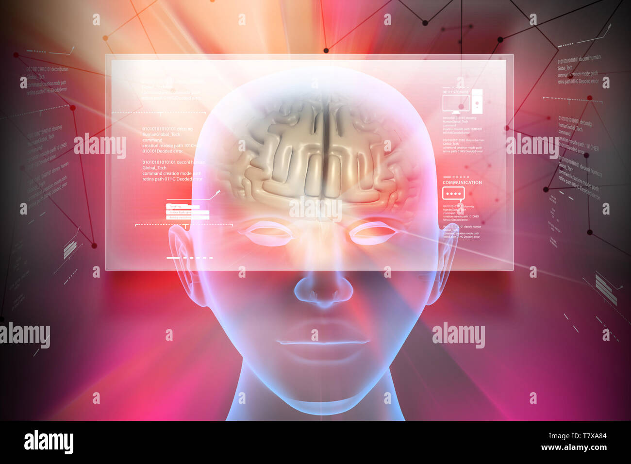 Female brain hi-res stock photography and images - Alamy
