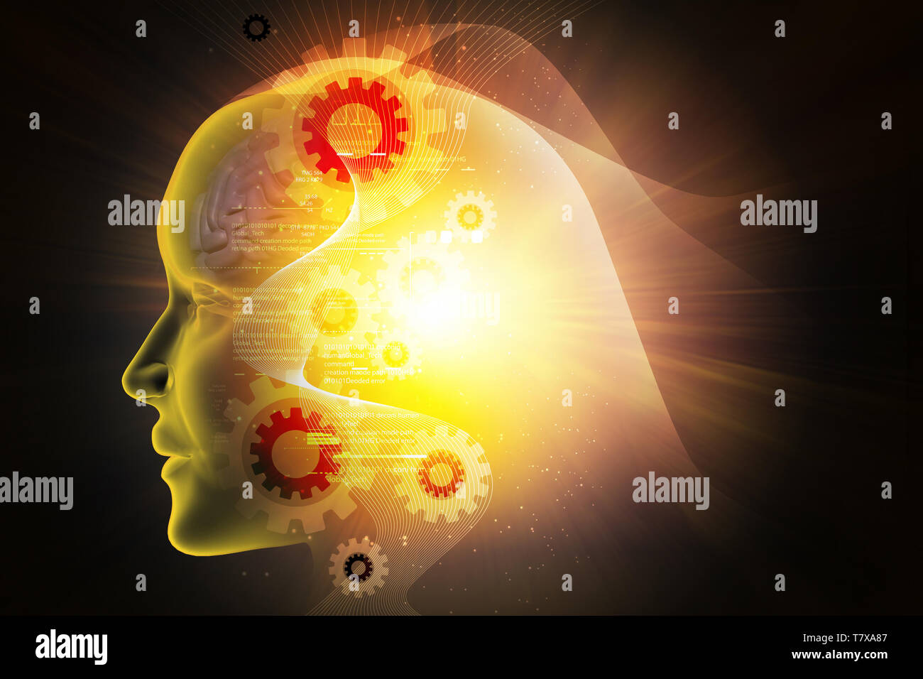 Brain representation hi-res stock photography and images - Alamy