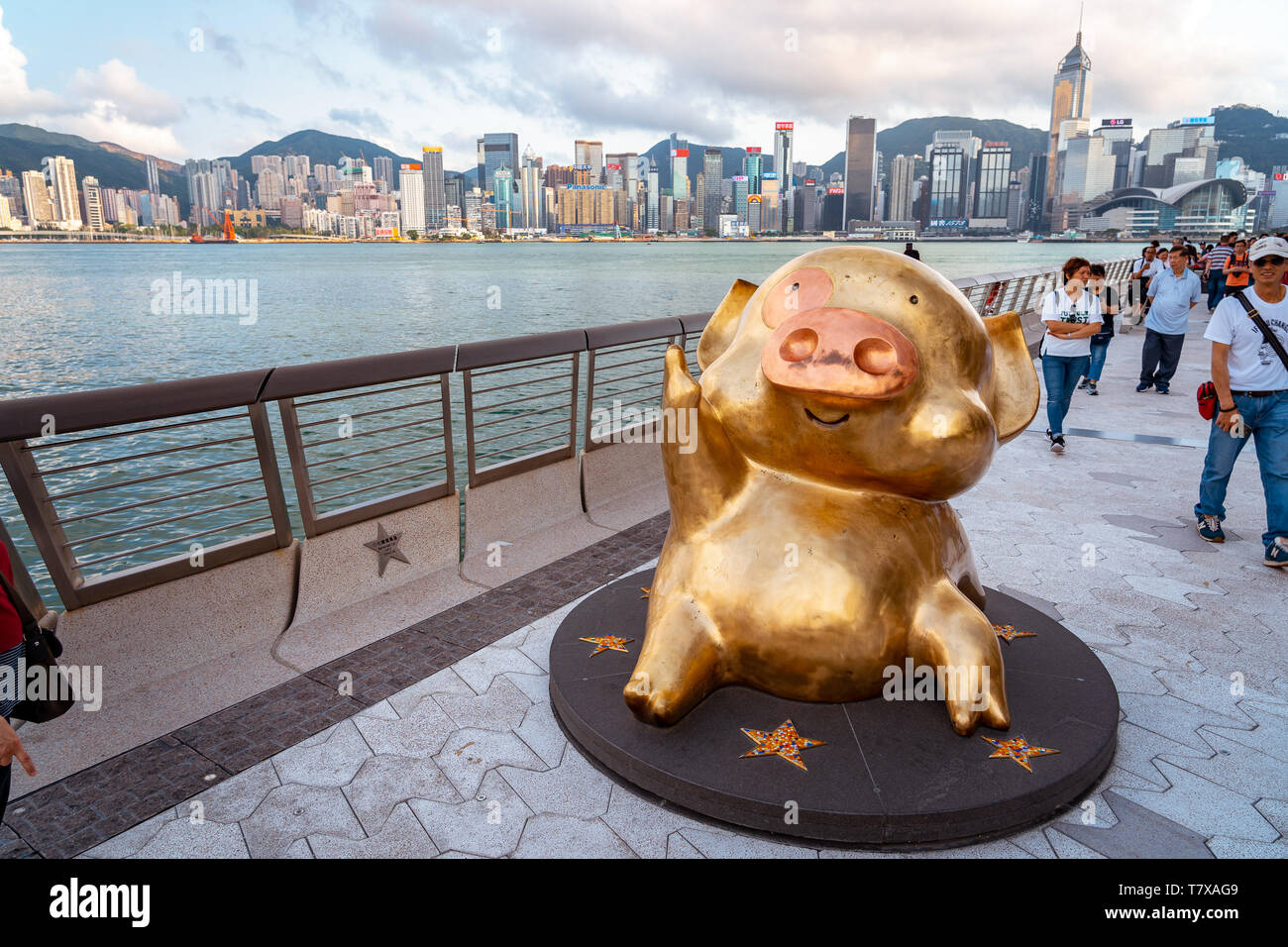 Golden pig hi-res stock photography and images - Alamy