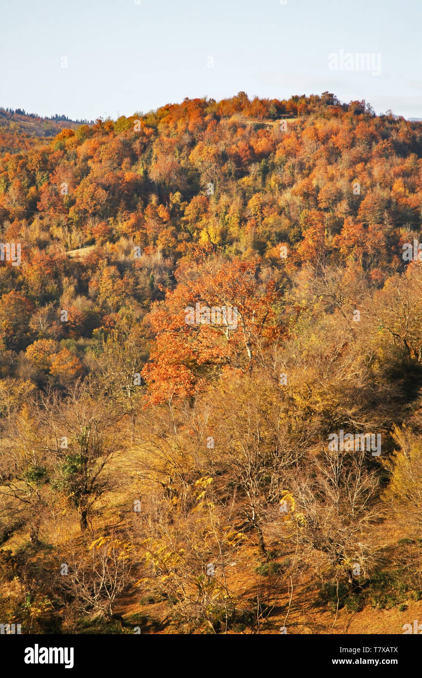 Landscape near Gelati village. Kutaisi district. Imereti Province ...