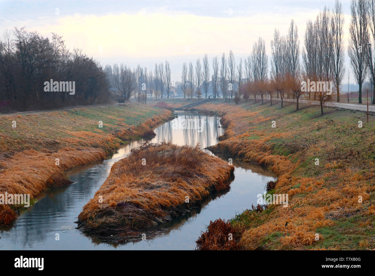 Beautiful park reflection Stock Photo - Alamy