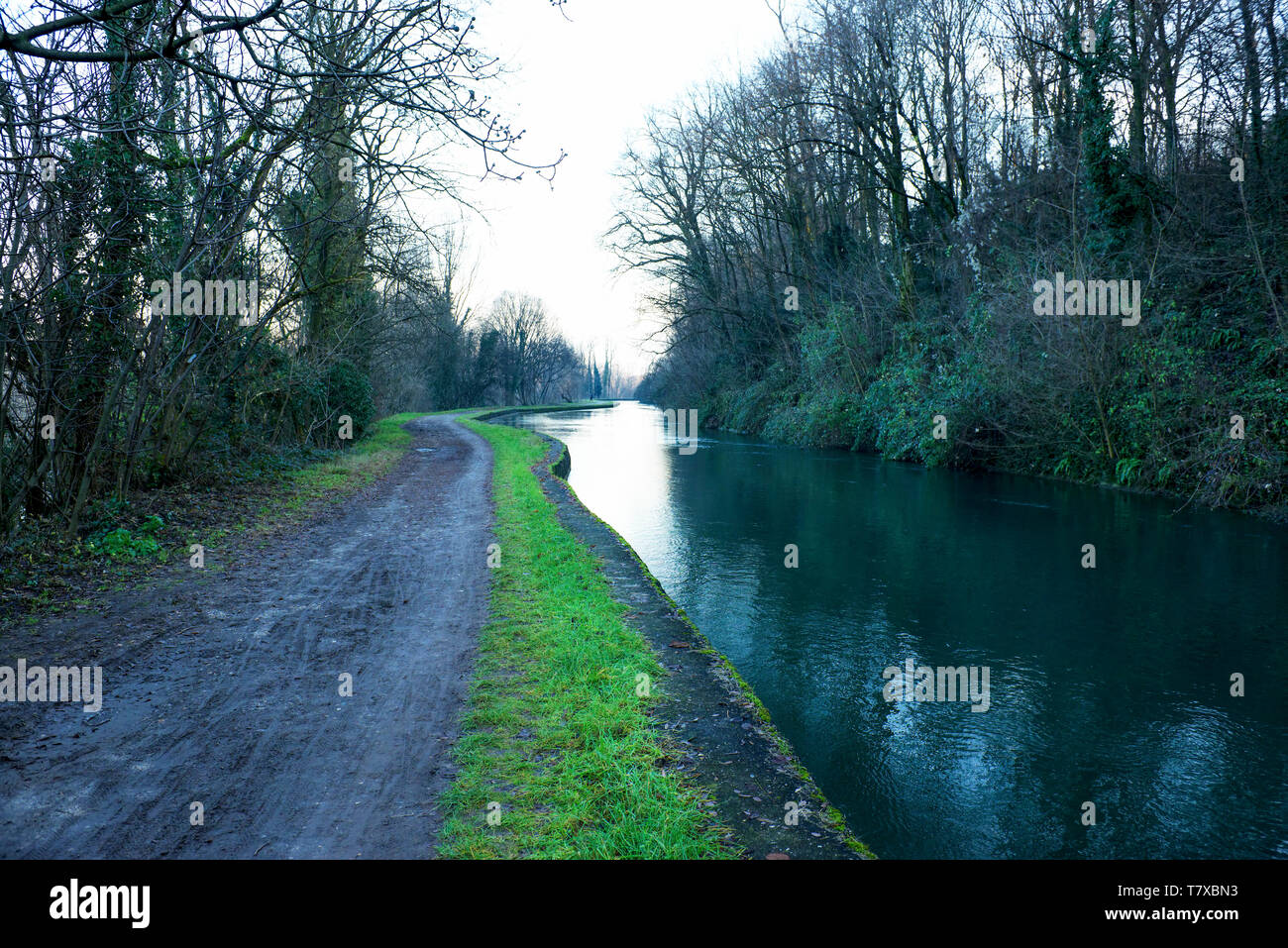 Interconnected Canals High Resolution Stock Photography and Images - Alamy