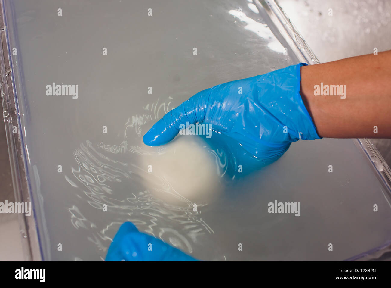 Production process of mozzarella cheese, cheese making process Stock ...