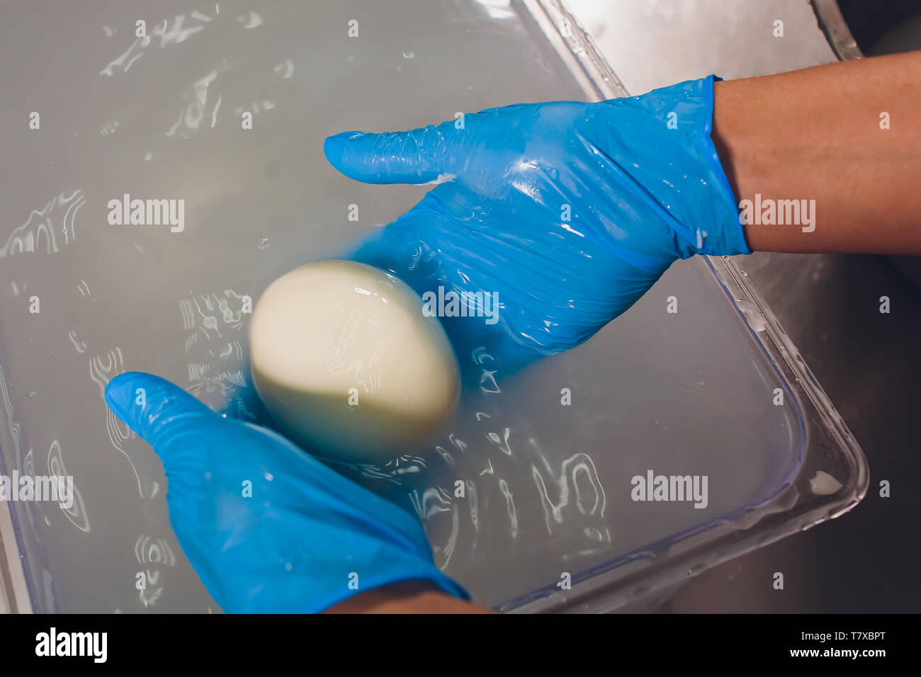 Production process of mozzarella cheese, cheese making process Stock ...