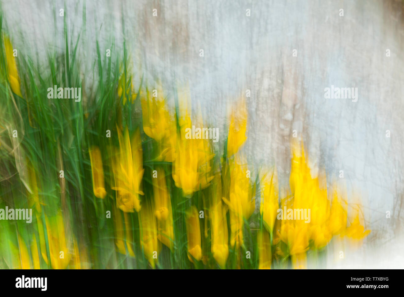 Areopago colina hi-res stock photography and images - Alamy