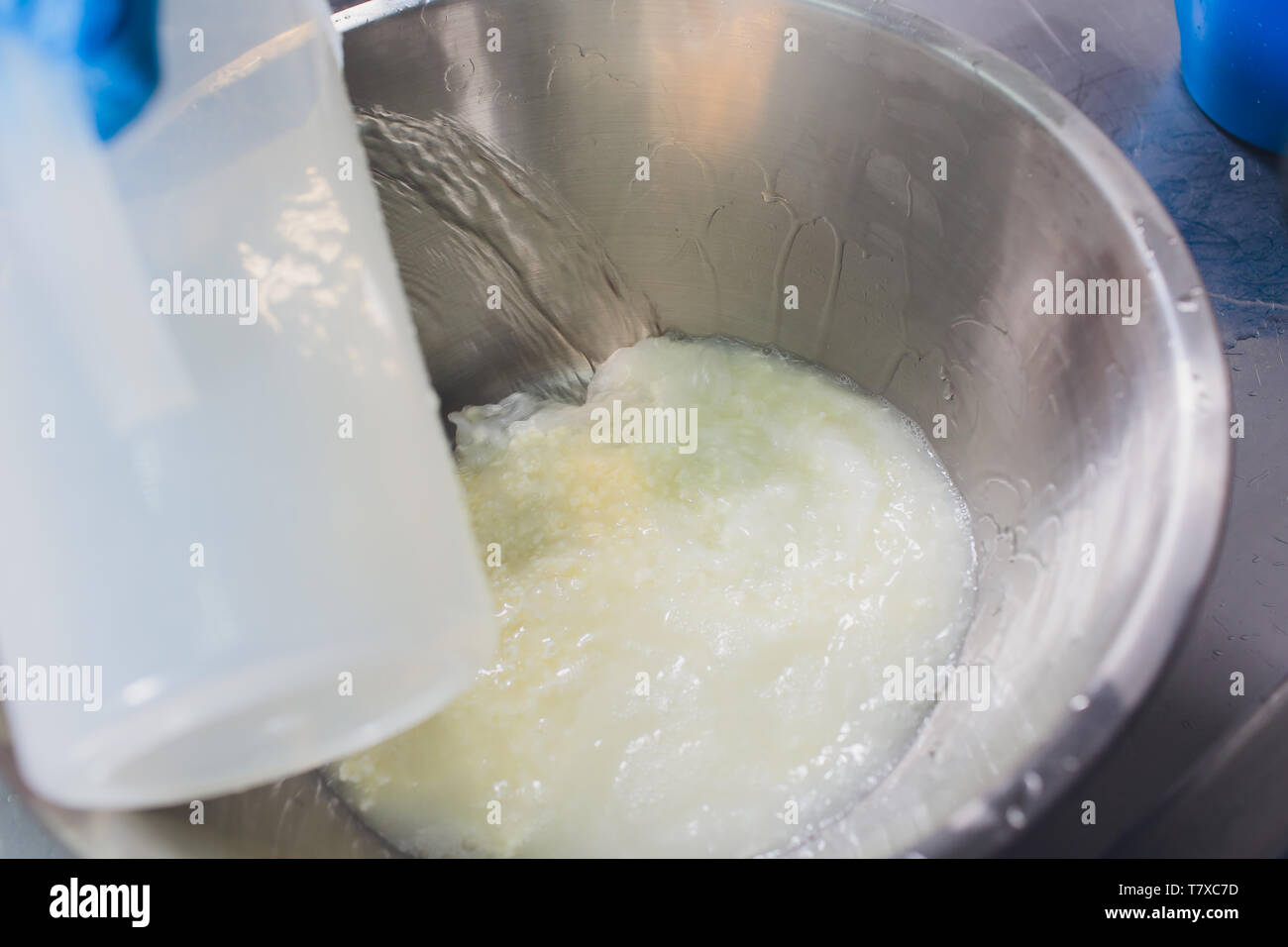 Traditional Cheese Making In A Small Company. Cheese Maker Hands Close ...