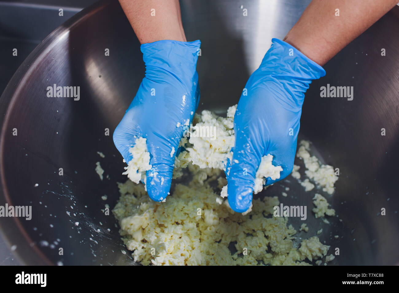 Traditional Cheese Making In A Small Company. Cheese Maker Hands Close ...