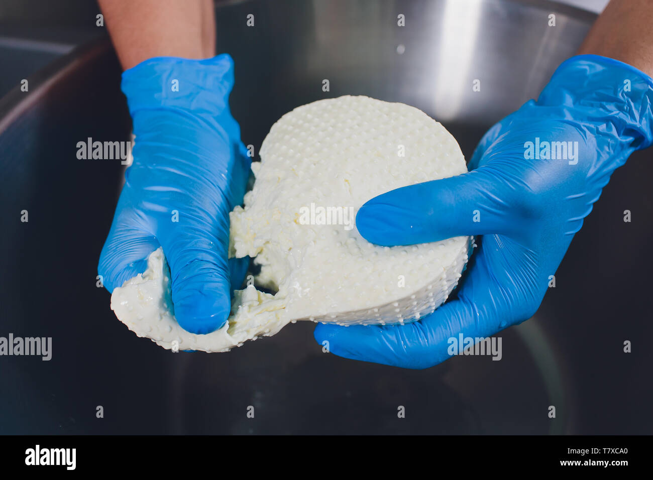 Traditional Cheese Making In A Small Company. Cheese Maker Hands Close ...