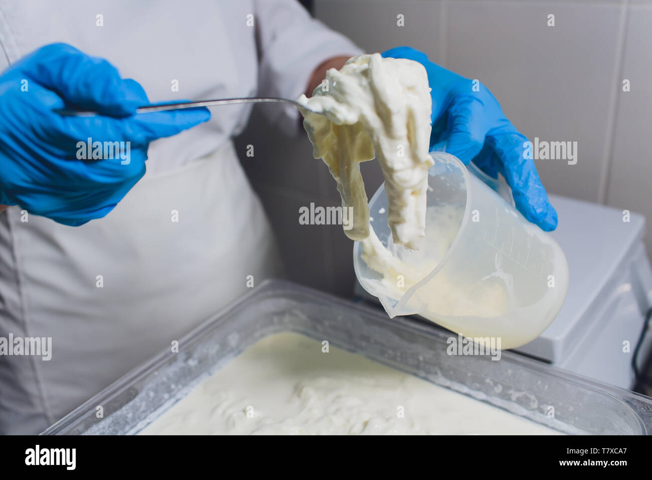 Traditional Cheese Making In A Small Company. Cheese Maker Hands Close ...