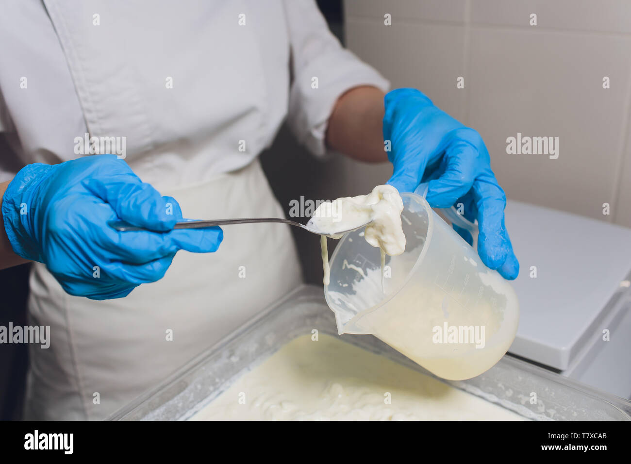 Traditional Cheese Making In A Small Company. Cheese Maker Hands Close ...