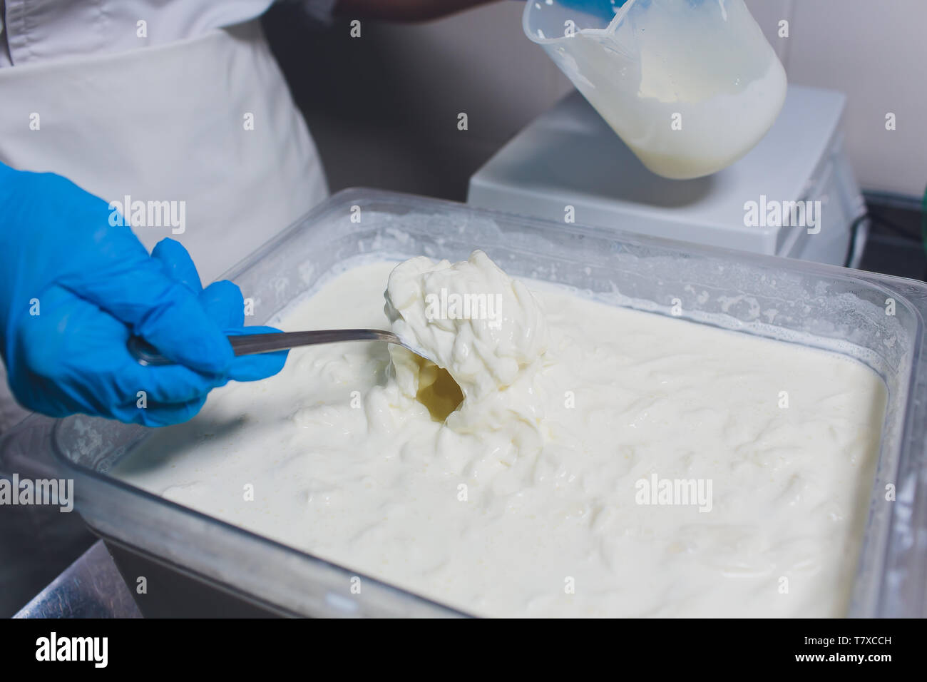 Traditional Cheese Making In A Small Company. Cheese Maker Hands Close ...