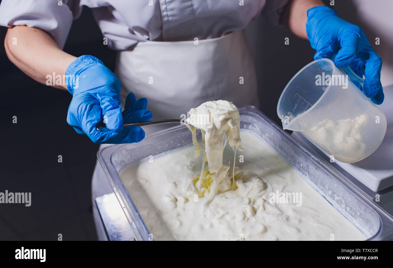 Traditional Cheese Making In A Small Company. Cheese Maker Hands Close ...
