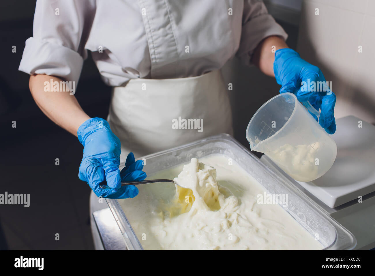 Traditional Cheese Making In A Small Company. Cheese Maker Hands Close ...