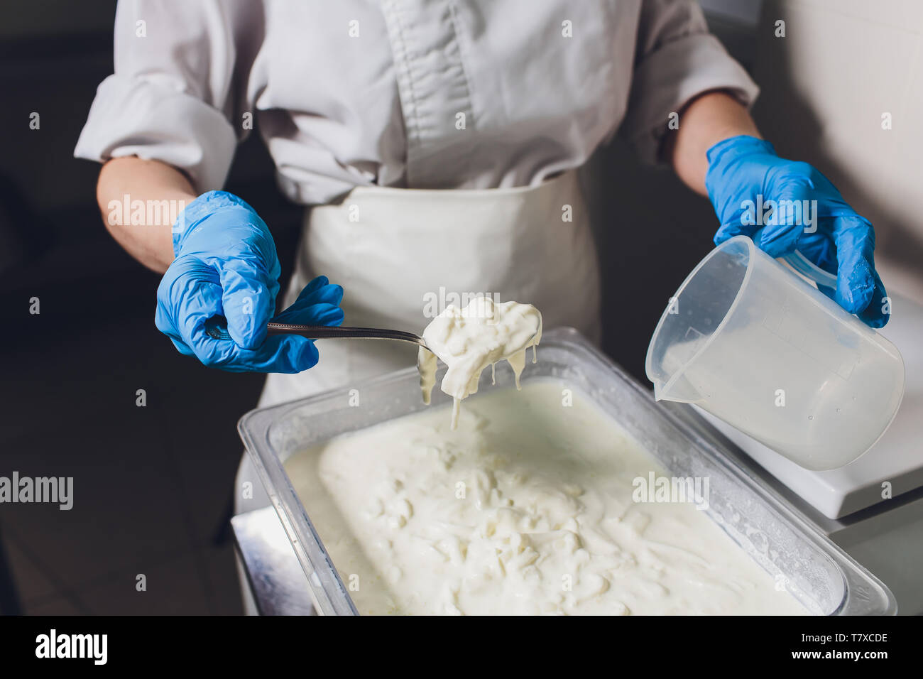 Traditional Cheese Making In A Small Company. Cheese Maker Hands Close ...