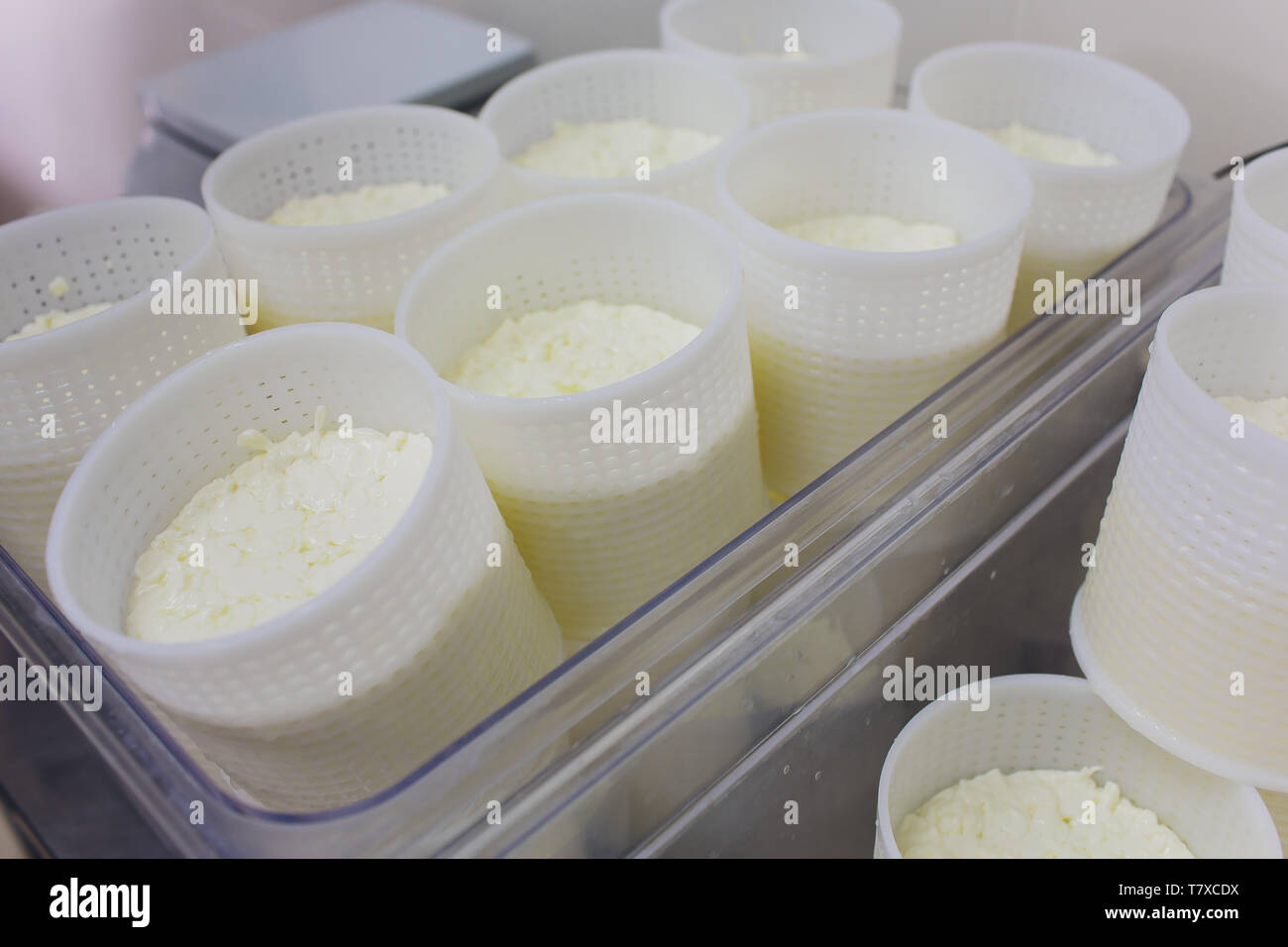Traditional Cheese Making In A Small Company. Cheese Maker Hands Close ...