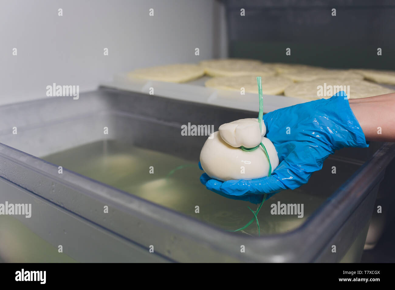 Production process of mozzarella cheese, cheese making process Stock ...