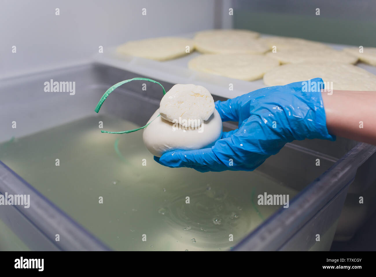 Production process of mozzarella cheese, cheese making process Stock ...