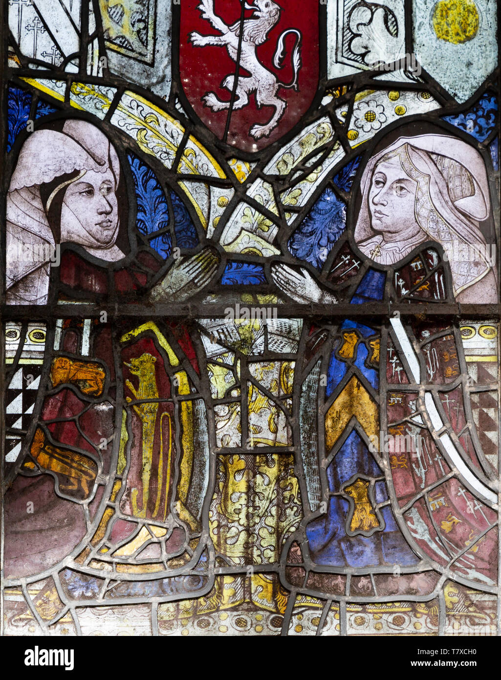 Elizabeth tilney hi-res stock photography and images - Alamy